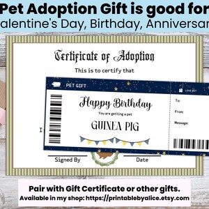 Guinea Pig Adoption Certificate, Custom Editable Certificate Template ...