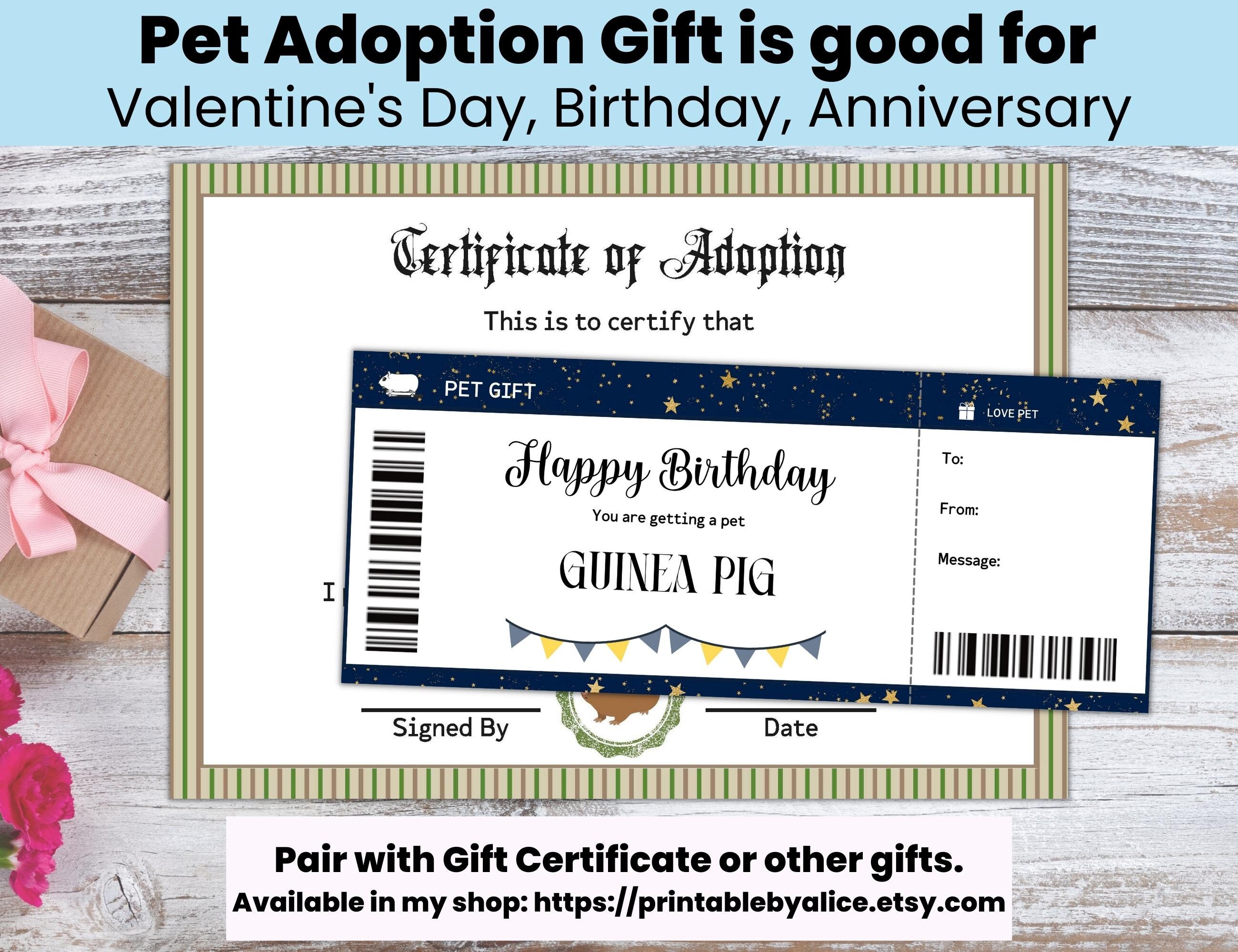 Guinea Pig Adoption Certificate, Custom Editable Certificate Template ...