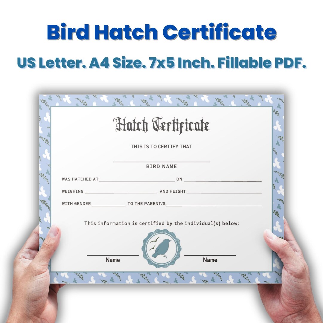 Bird Hatch Certificate, Bird Certificate, Bird Adoption Certificate - Etsy