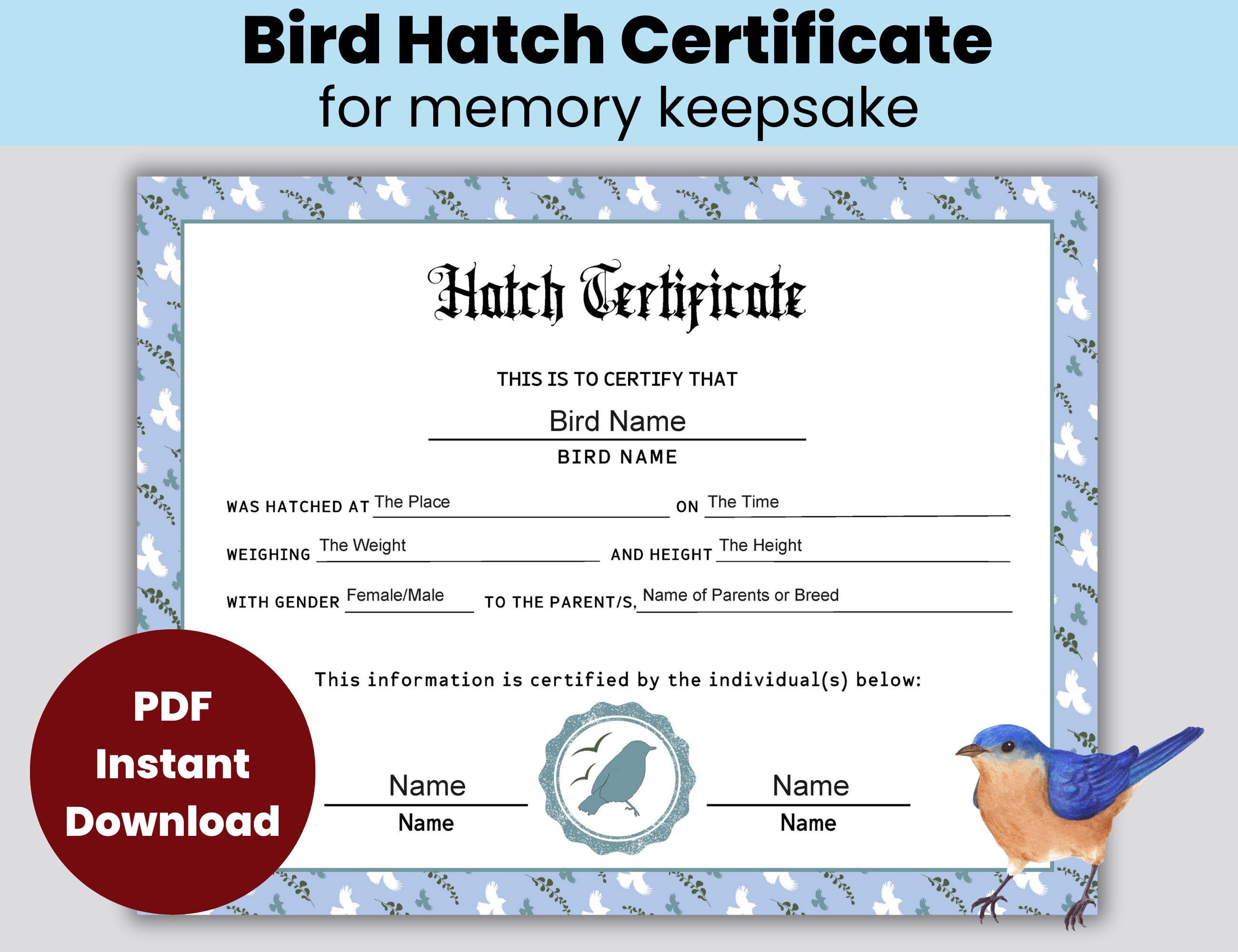 Bird Hatch Certificate, Bird Certificate, Bird Adoption Certificate - Etsy