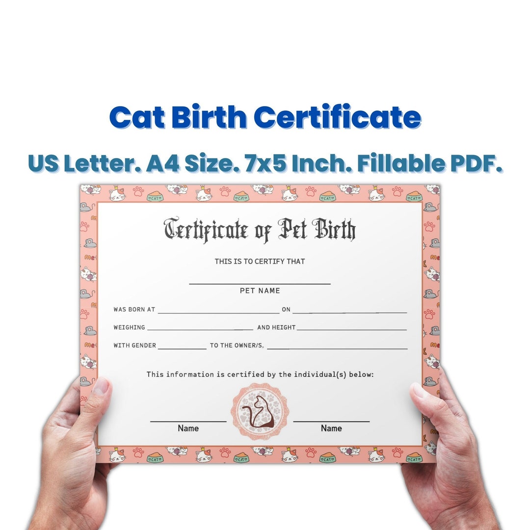 Personalized Pet Cat Birth Certificate Template Editable, New Kitten ...