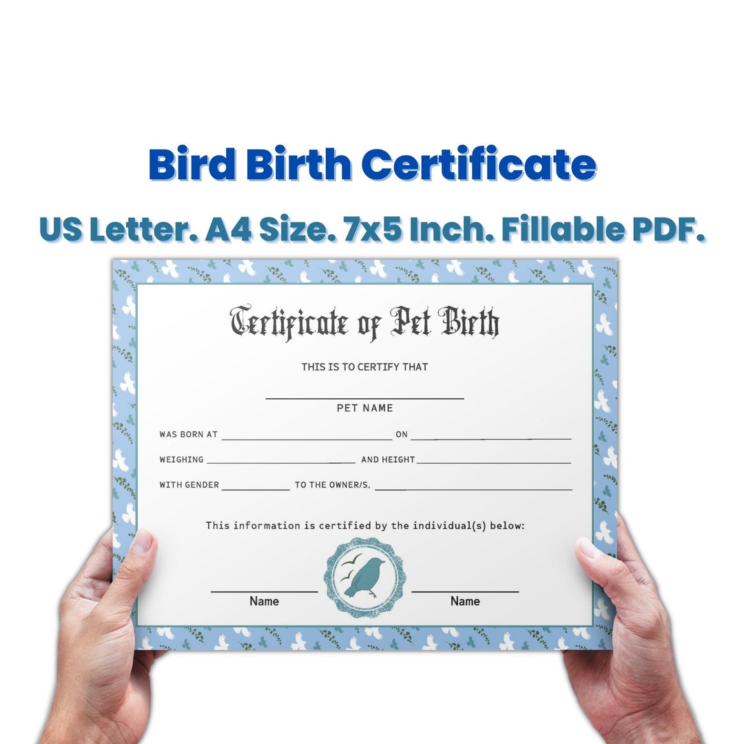 Personalized Pet Bird Birth Certificate Template Editable, New Pet Gift ...