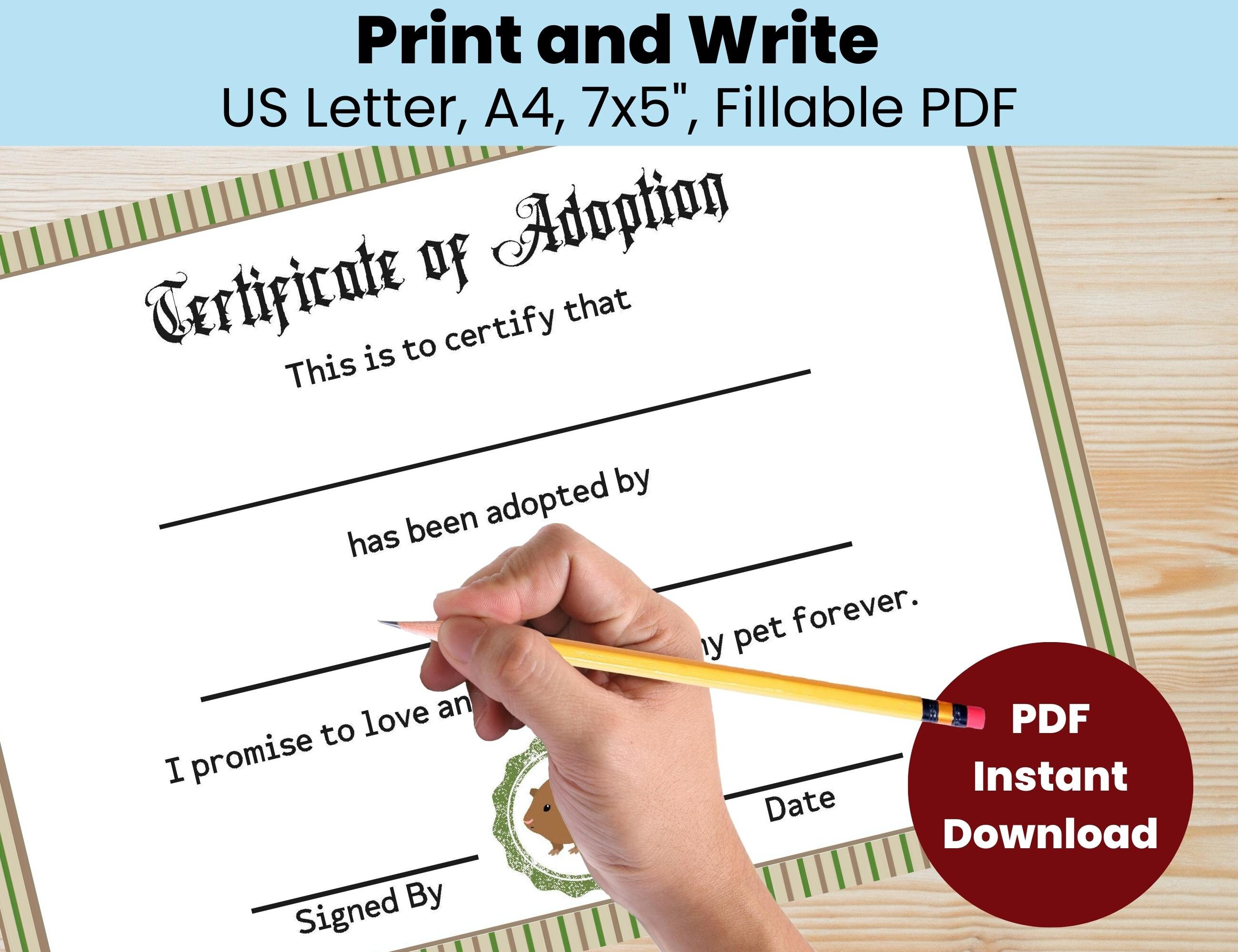 Guinea Pig Adoption Certificate, Custom Editable Certificate Template ...