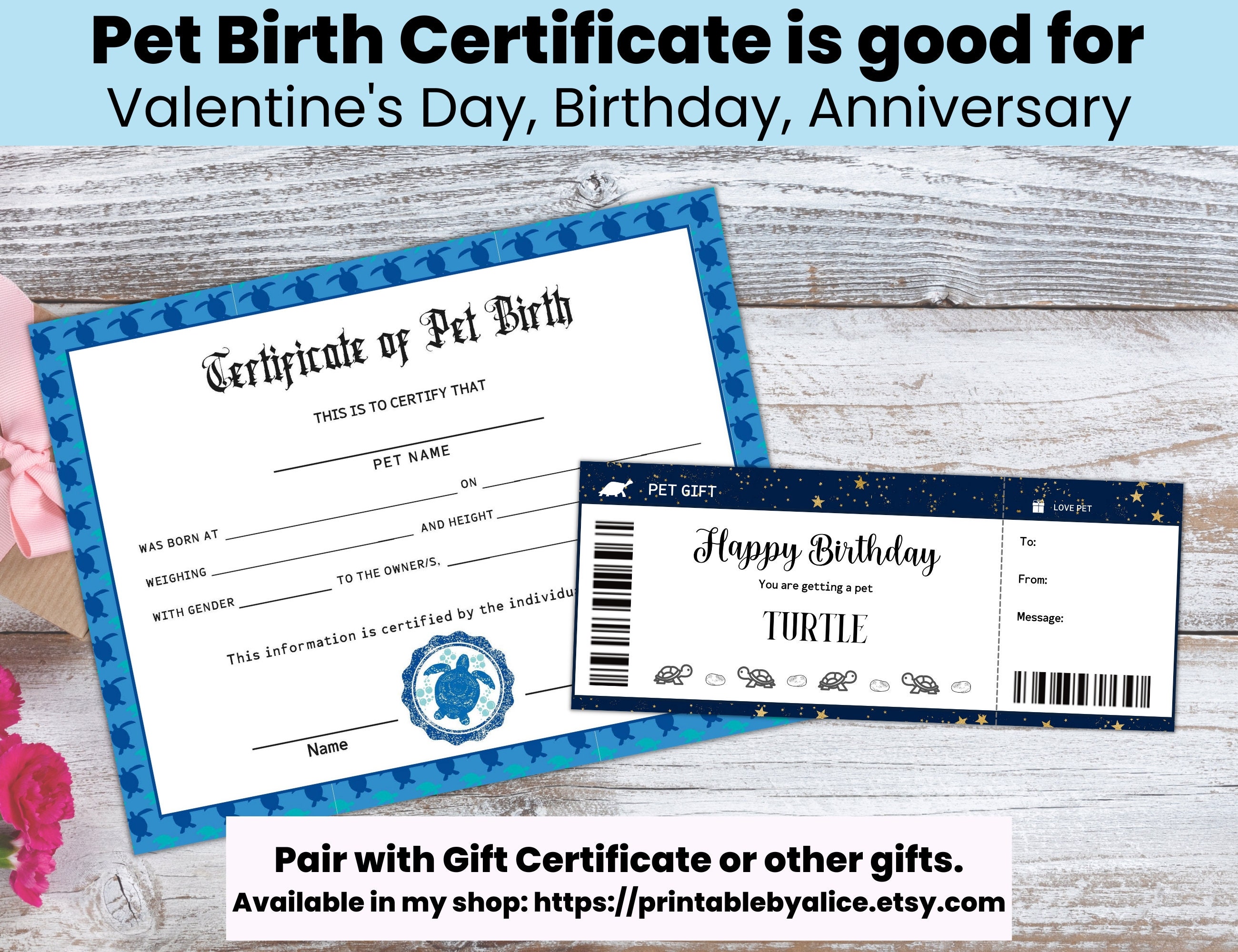 Personalized Pet Turtle Birth Certificate Template Editable, New Pet ...