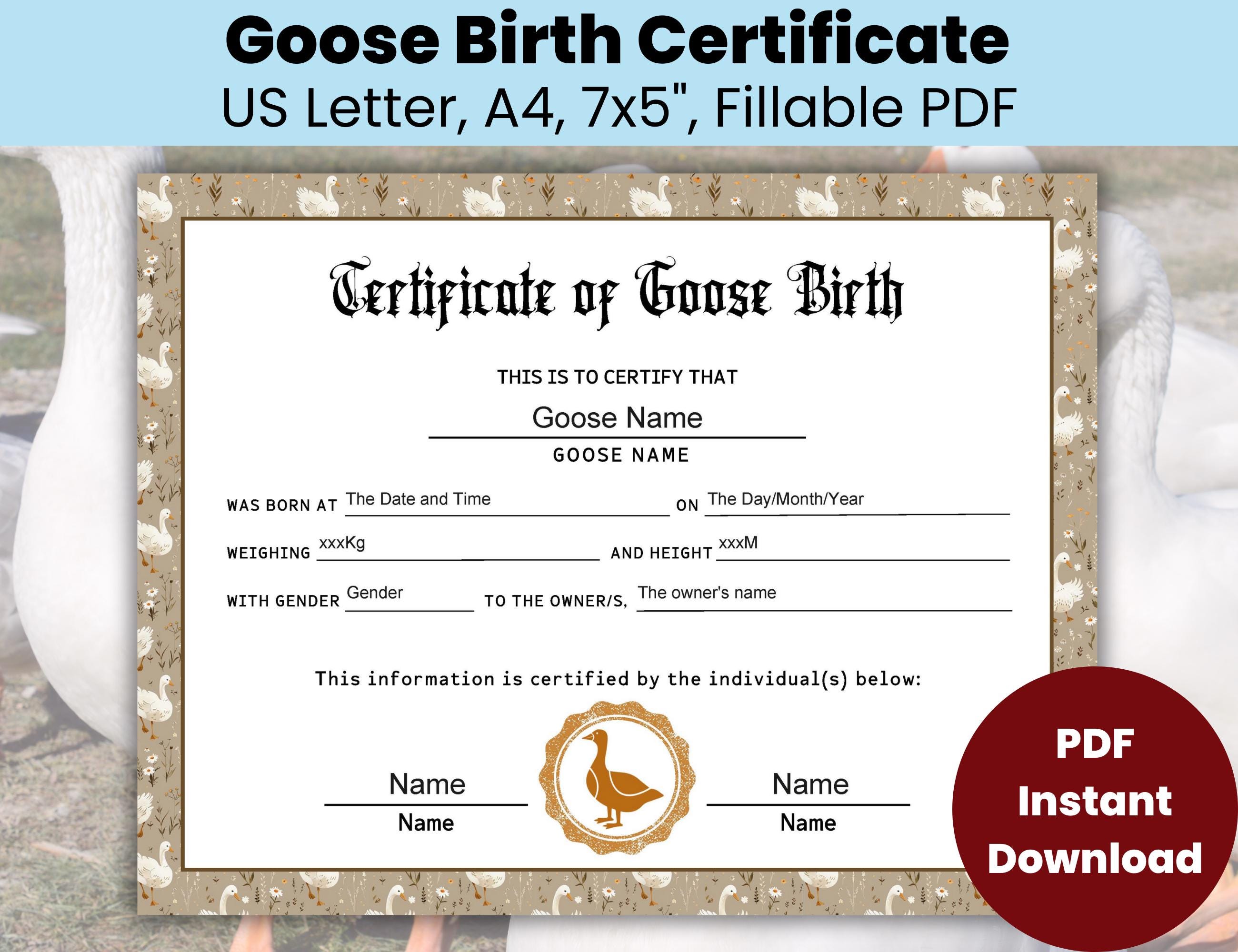 Personalized Goose Birth Certificate Template Editable, New Pet Gift ...