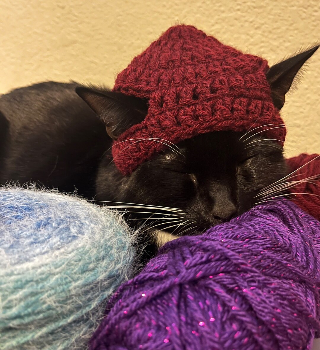Red Inspired Cat Hat Pattern Crochet - Etsy
