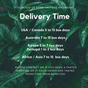 Custom Bikini Set Your Text Words Logo Design Printed | Etsy