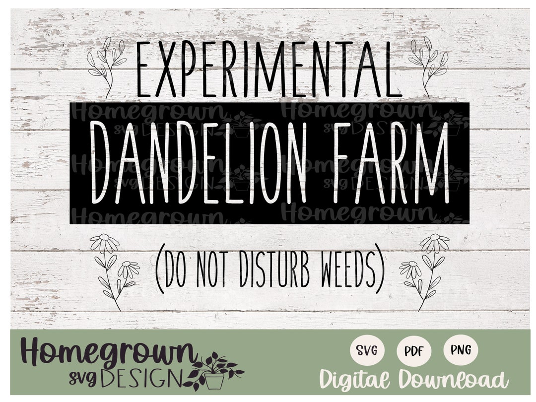 Experimental Dandelion Farm Do Not Disturb SVG - Garden SVG - Garden ...