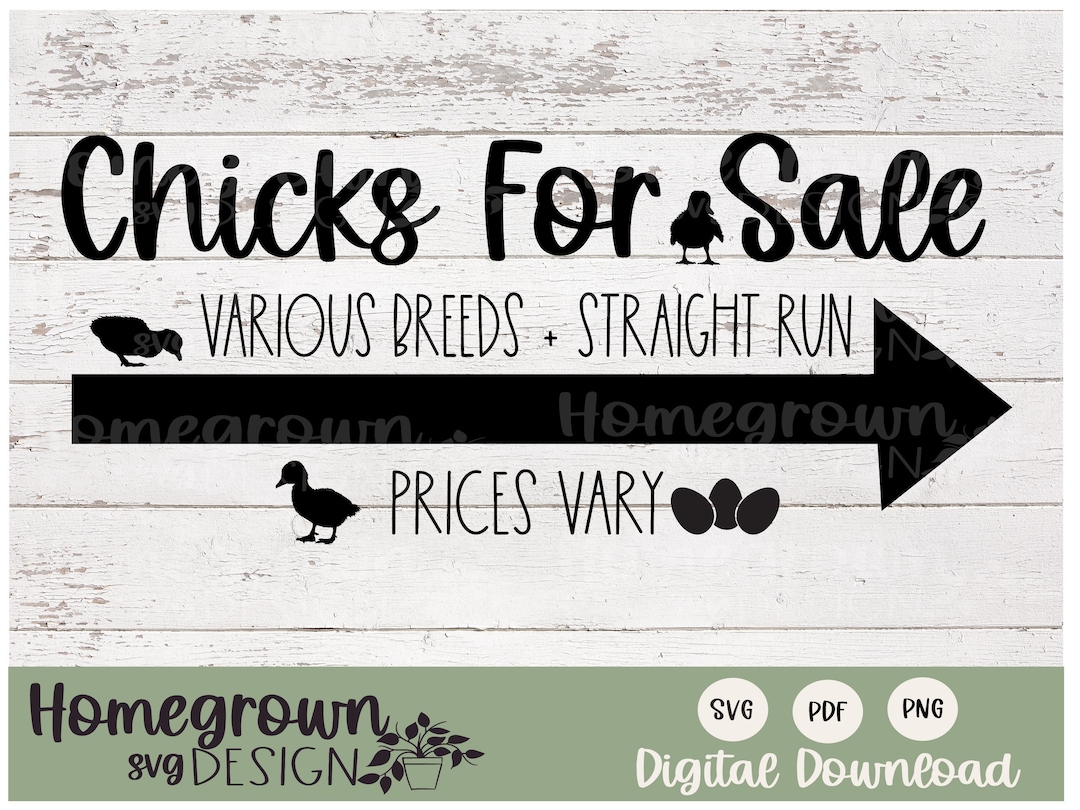Chicks for Sale SVG - Chickens for Sale Sign - Baby Chic SVG - Farm ...
