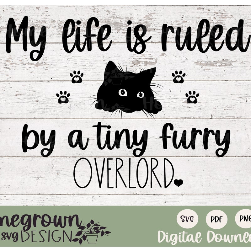 Furry Svg - Etsy