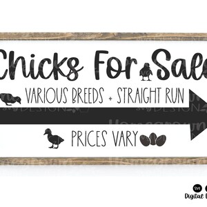 Chicks for Sale SVG - Chickens for Sale Sign - Baby Chic SVG - Farm ...