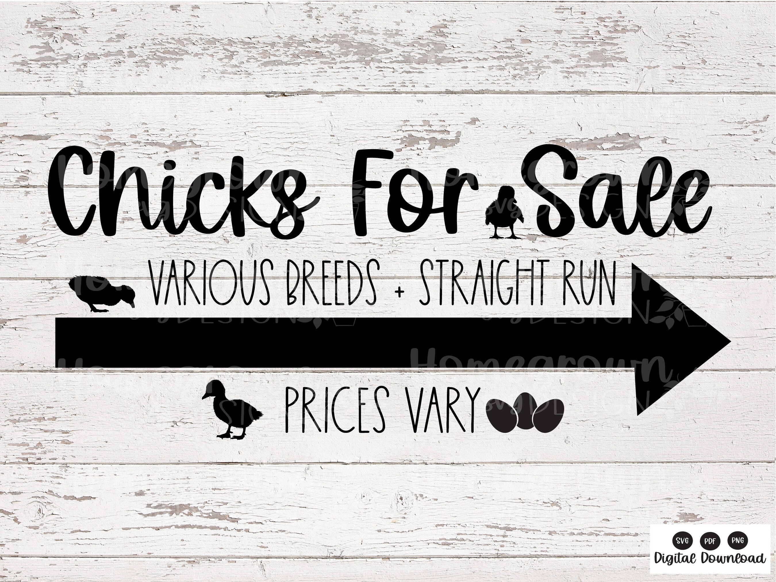 Chicks for Sale SVG - Chickens for Sale Sign - Baby Chic SVG - Farm ...