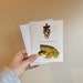 Kiss Me Under the Mistletoad Greeting Card 4.25x5.5” (happy Holidays ...