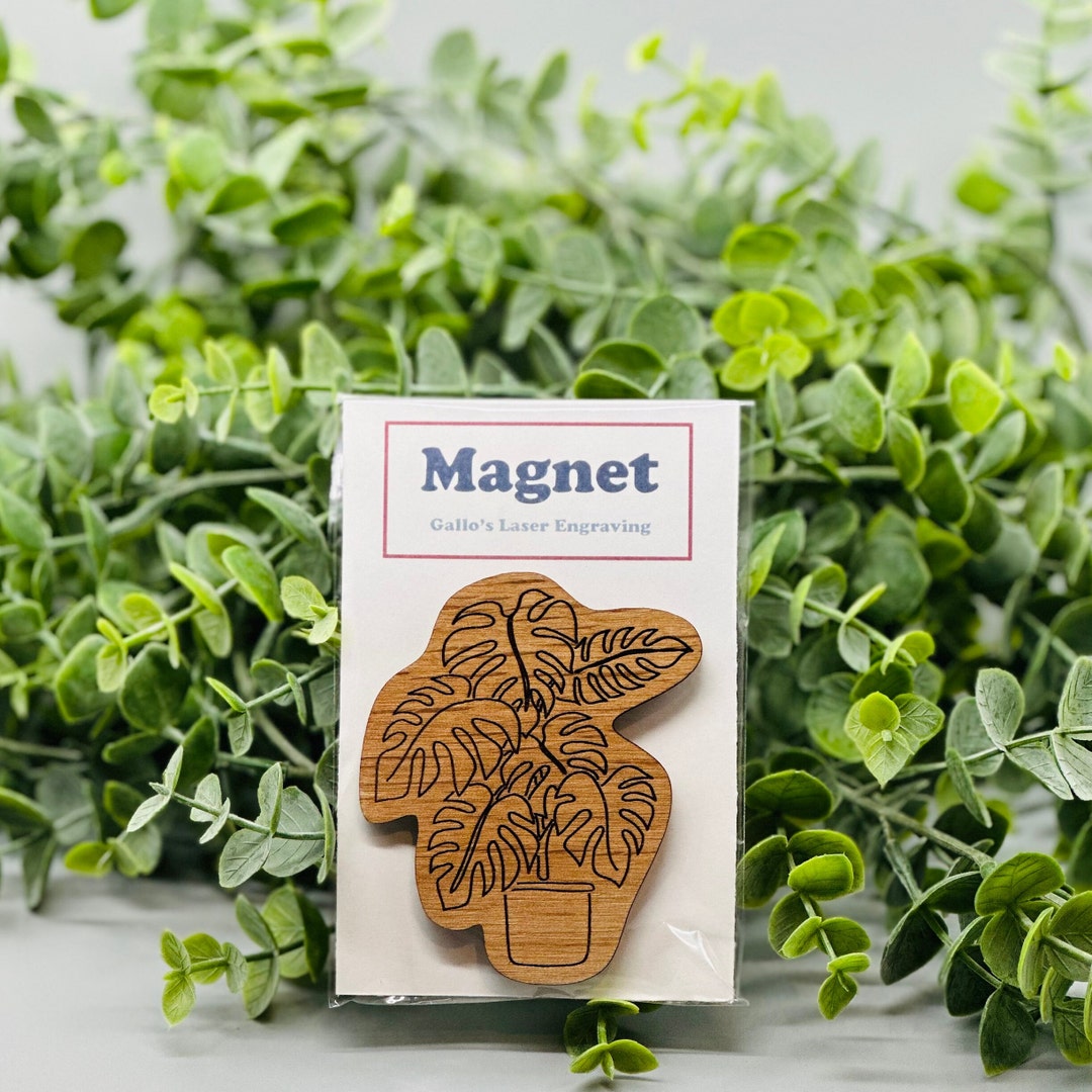 House Plant Magnet Swiss Cheese Plant - Etsy