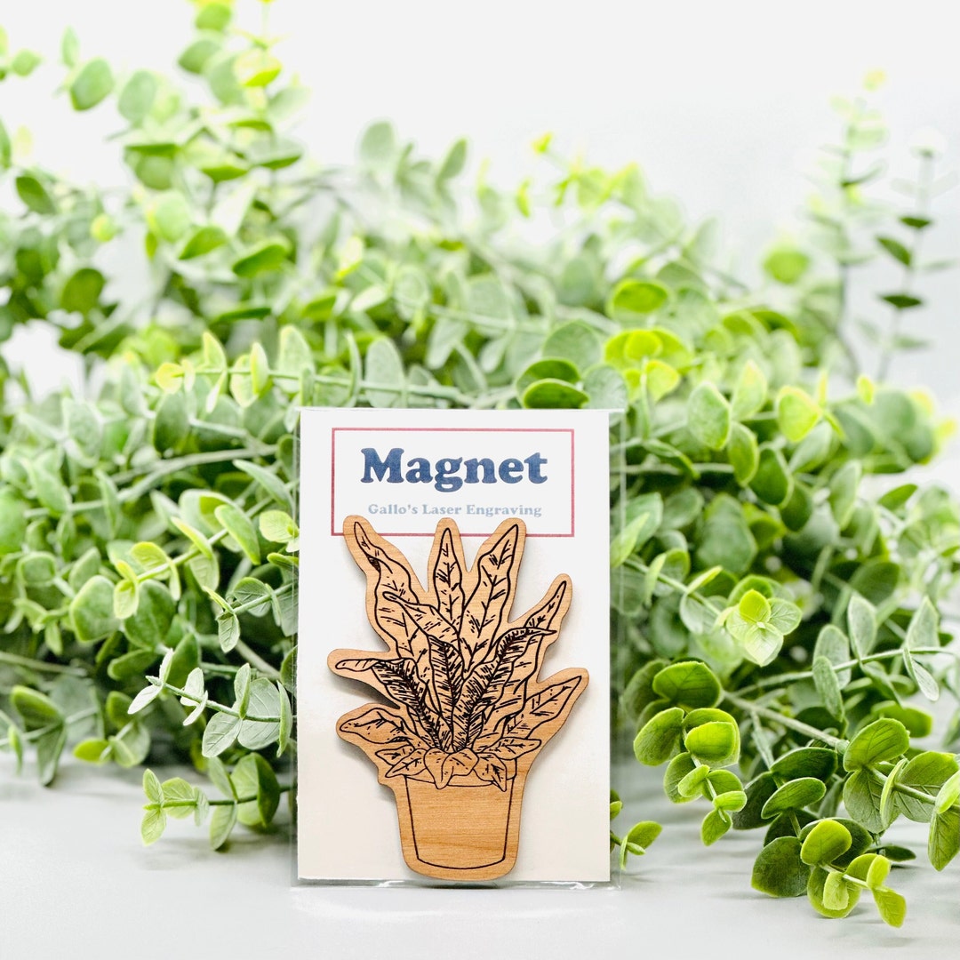 House Plant Magnet Tropic Snow Plant - Etsy