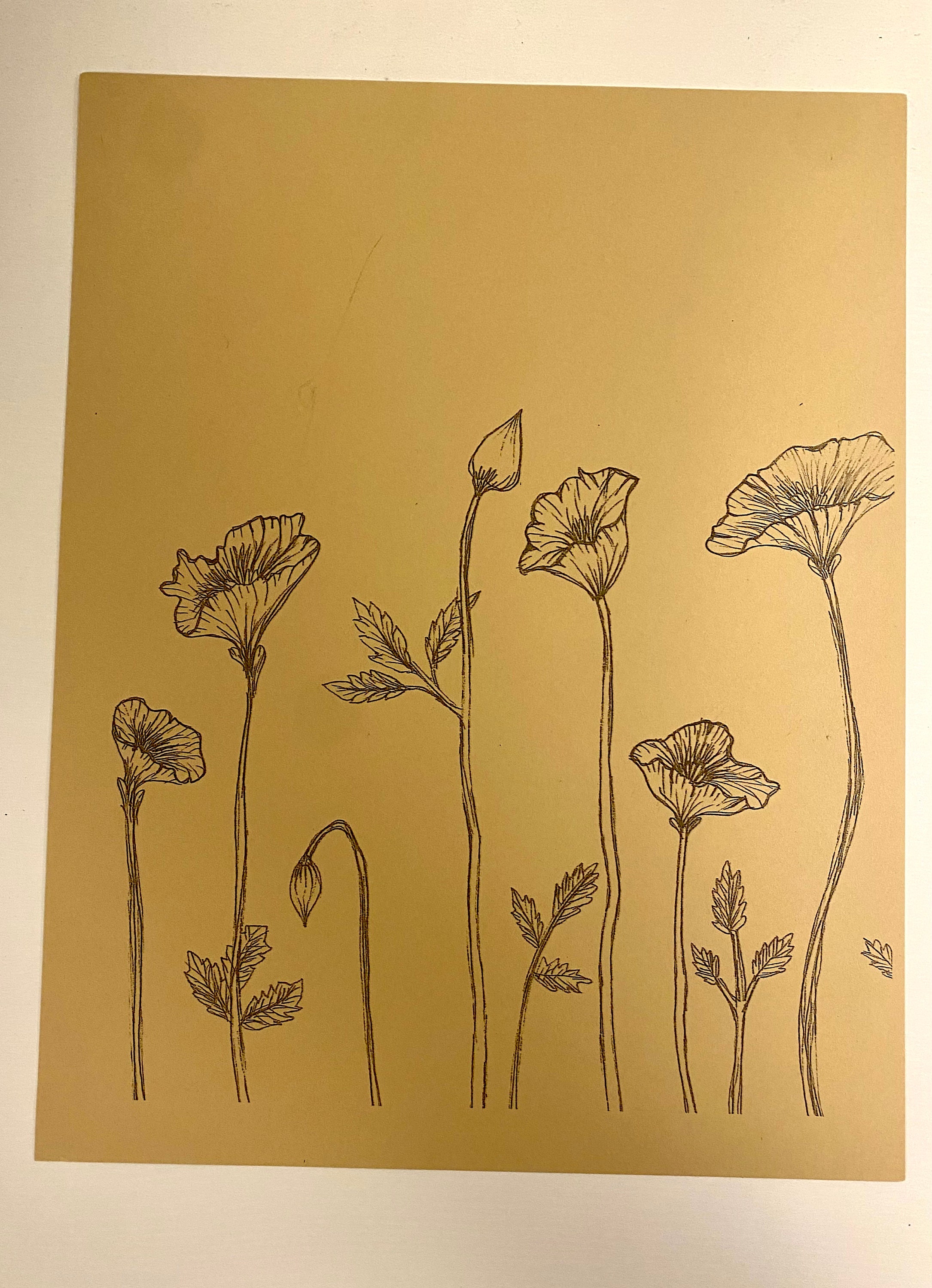 Poppy Field Pen and Ink Drawing Print - Etsy