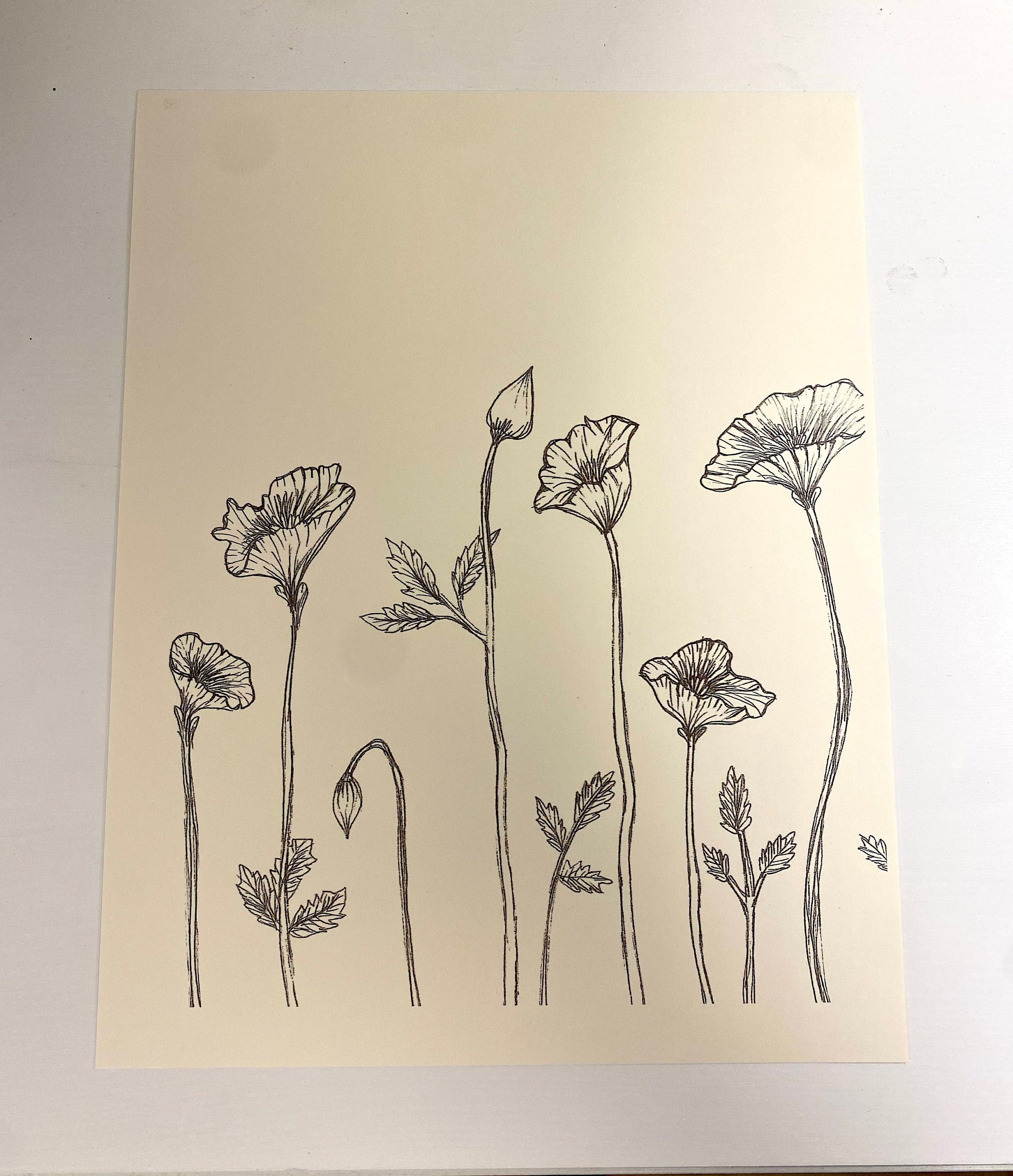 Poppy Field Pen and Ink Drawing Print - Etsy