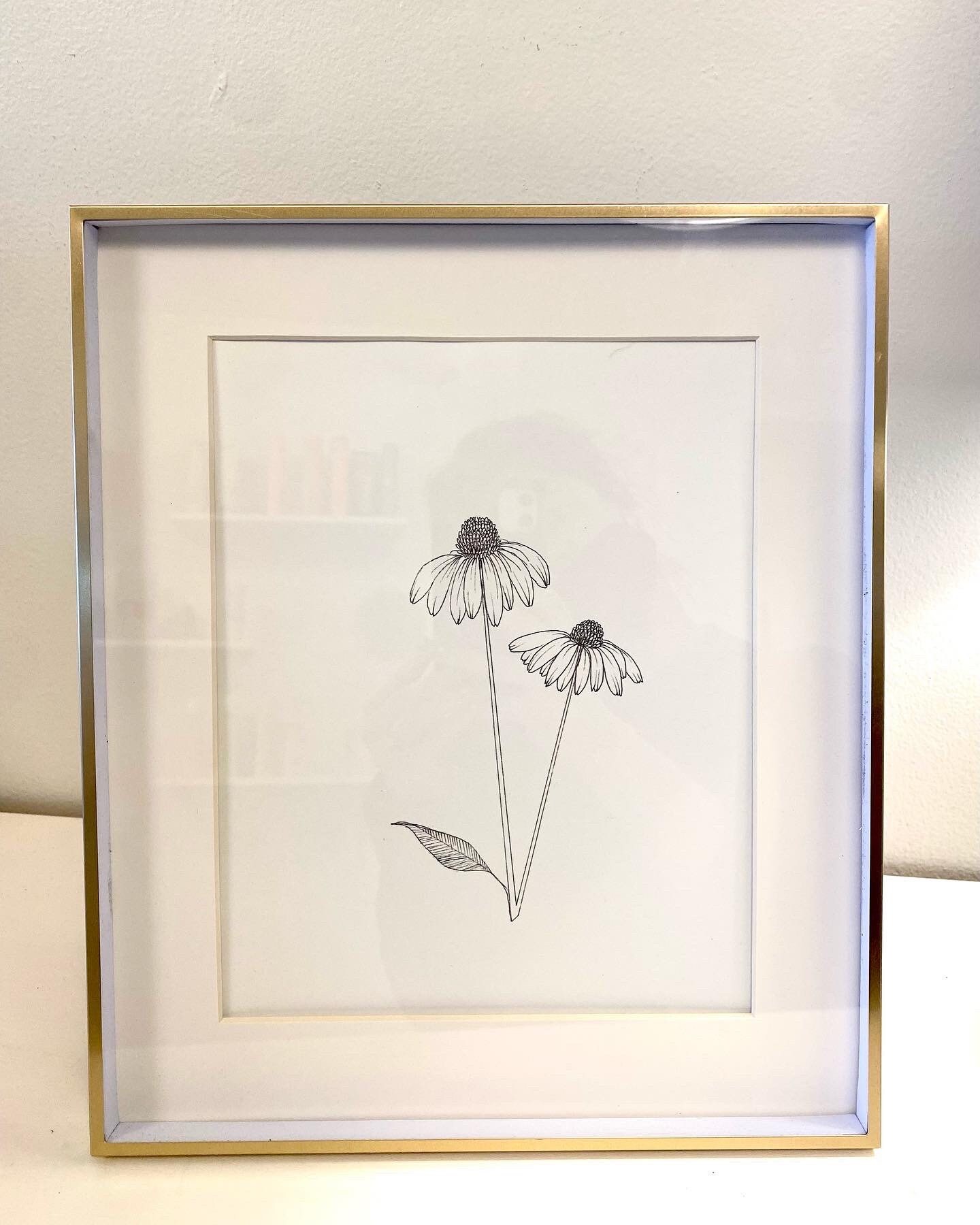 Purple Coneflower Pen and Ink Drawing 8x10 Print - Etsy