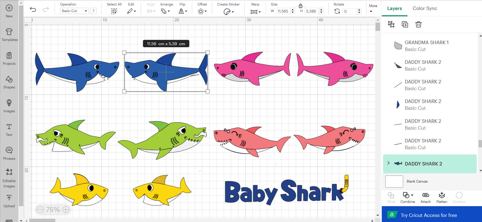 Baby Fin for Kids (SVG, PNG, PDF) Cricut Ready - Etsy