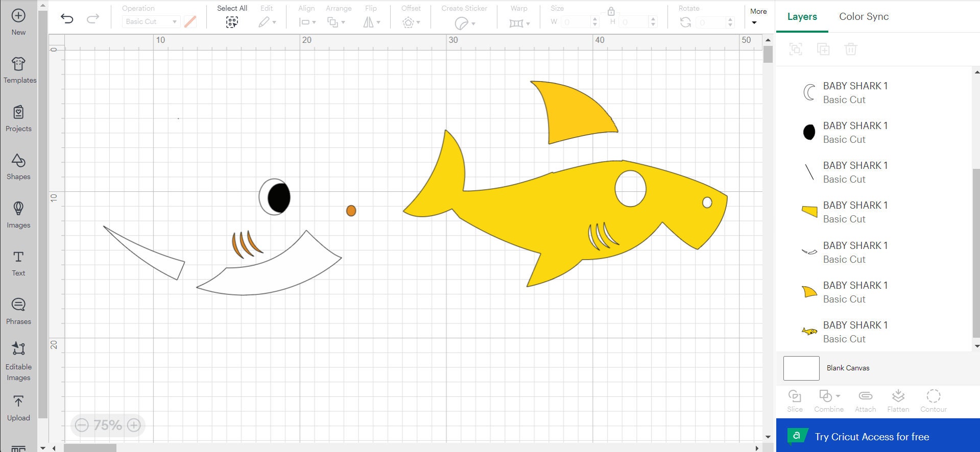 Baby Fin for Kids (SVG, PNG, PDF) Cricut Ready - Etsy