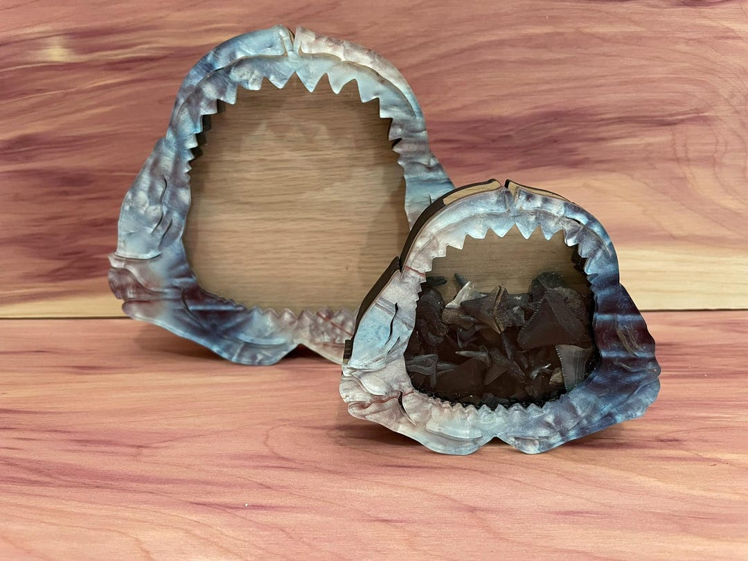 Shadow Box for Shark Teeth, Sea Glass, Agates, Crystals Shark Tooth ...