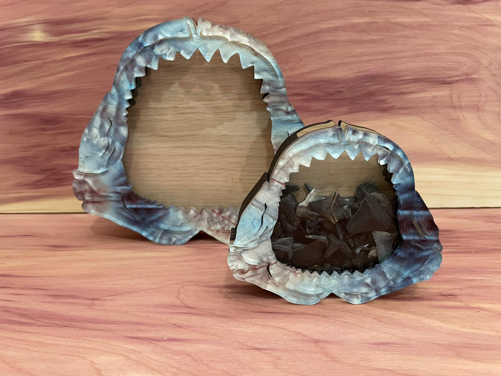Shadow Box for Shark Teeth, Sea Glass, Agates, Crystals Shark Tooth ...