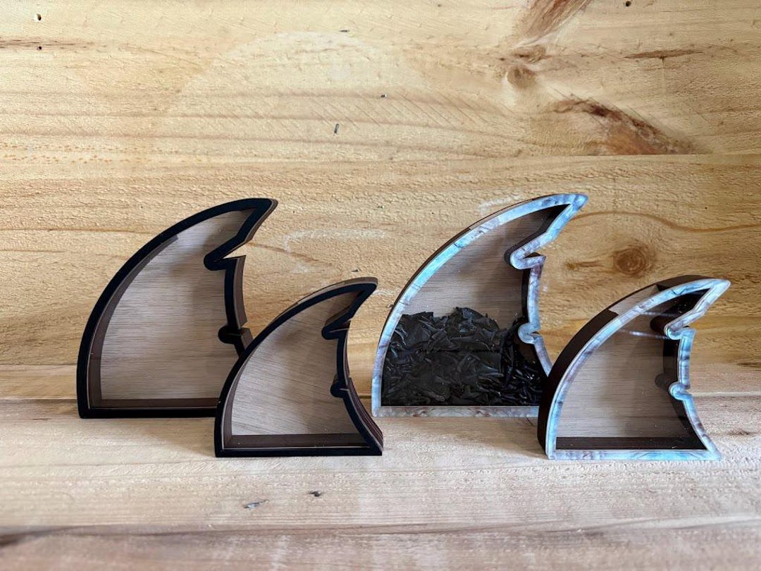 Shadow Box for Shark Teeth, Sea Glass, Agates, Crystals Shark Tooth ...