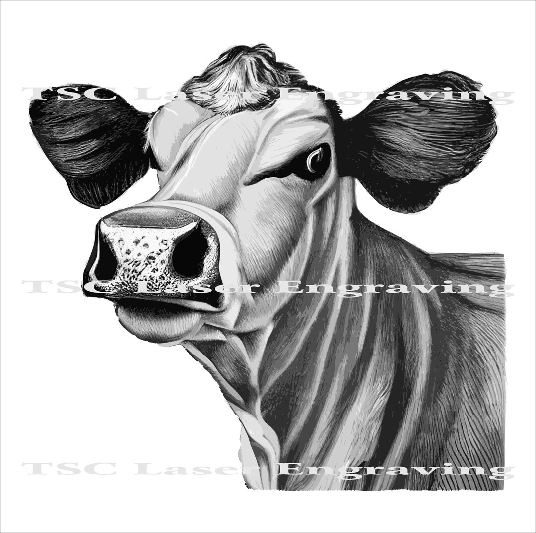 Cow, Farm Animal, Vector, Digital Cut File, Crafting, Cutting, Laser ...