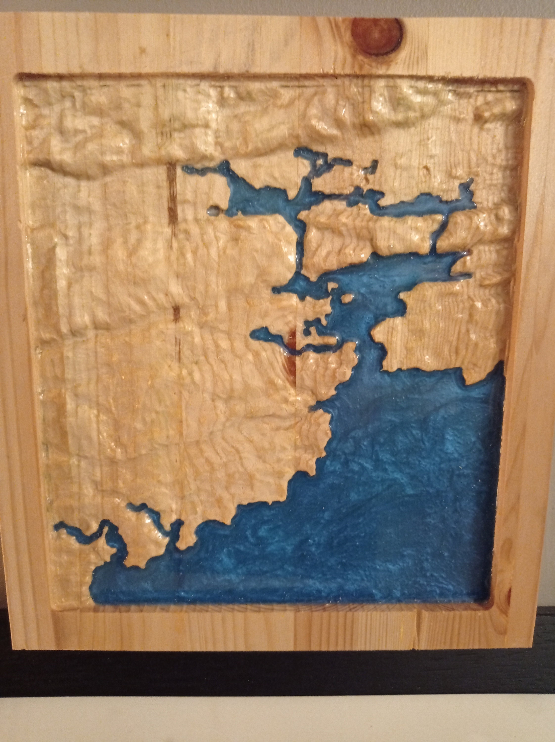 Cork Harbour Topographic Map - Etsy