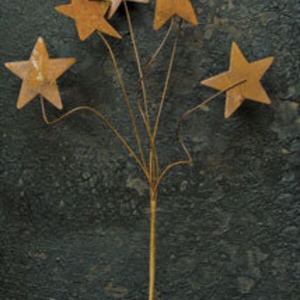 Rusty Star - Etsy