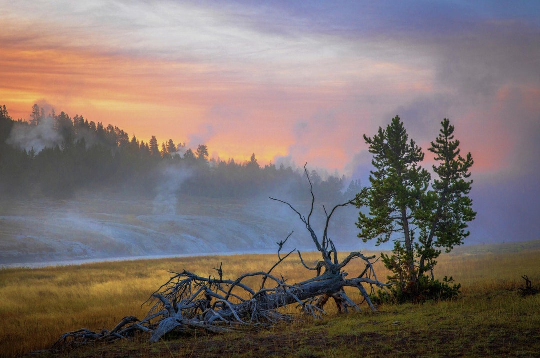 Yellowstone Canvas | Yellowstone Acrylic | National Parks Print ...