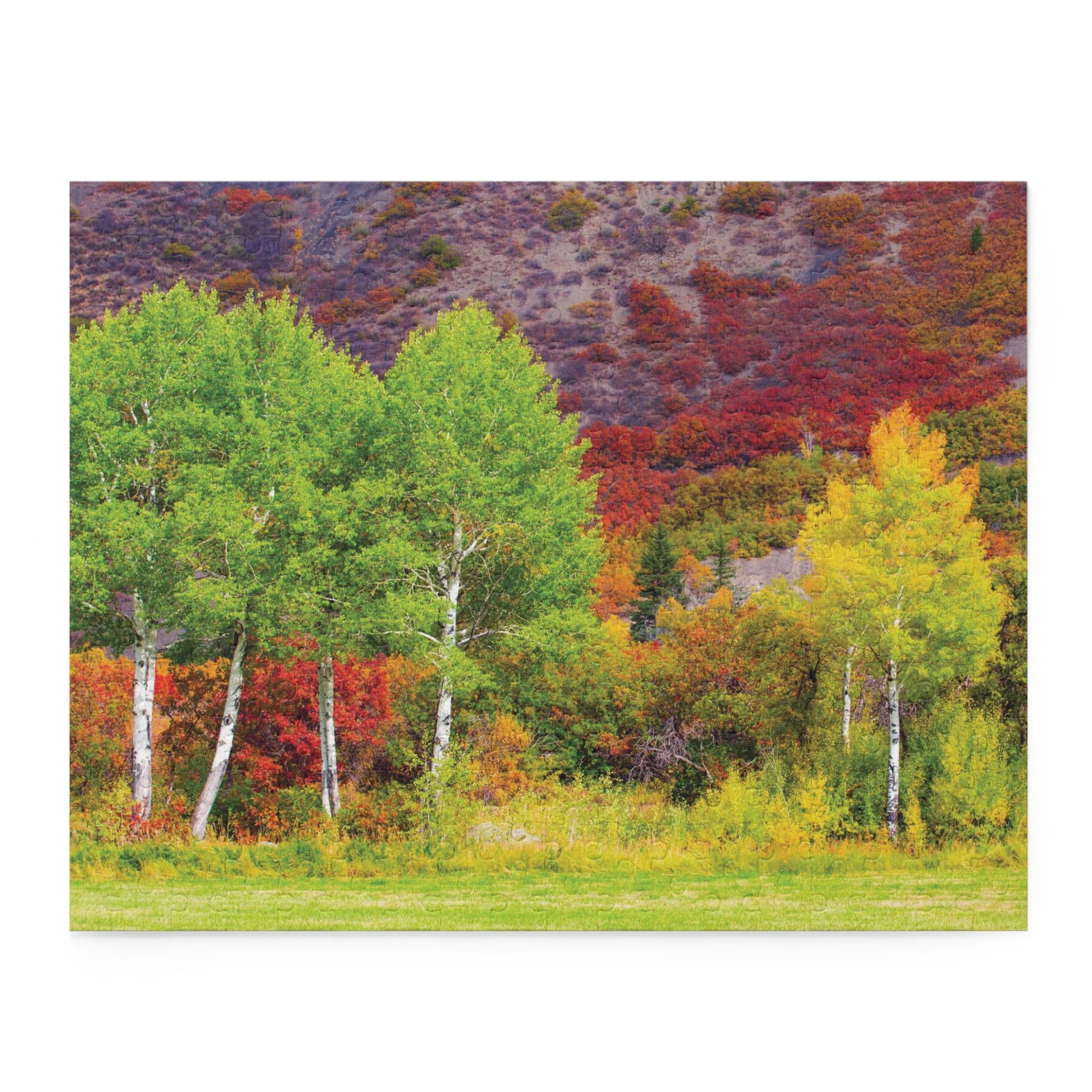 Casse-tête trembles, casse-tête photo, casse-têtes pour enfants, boîte ...