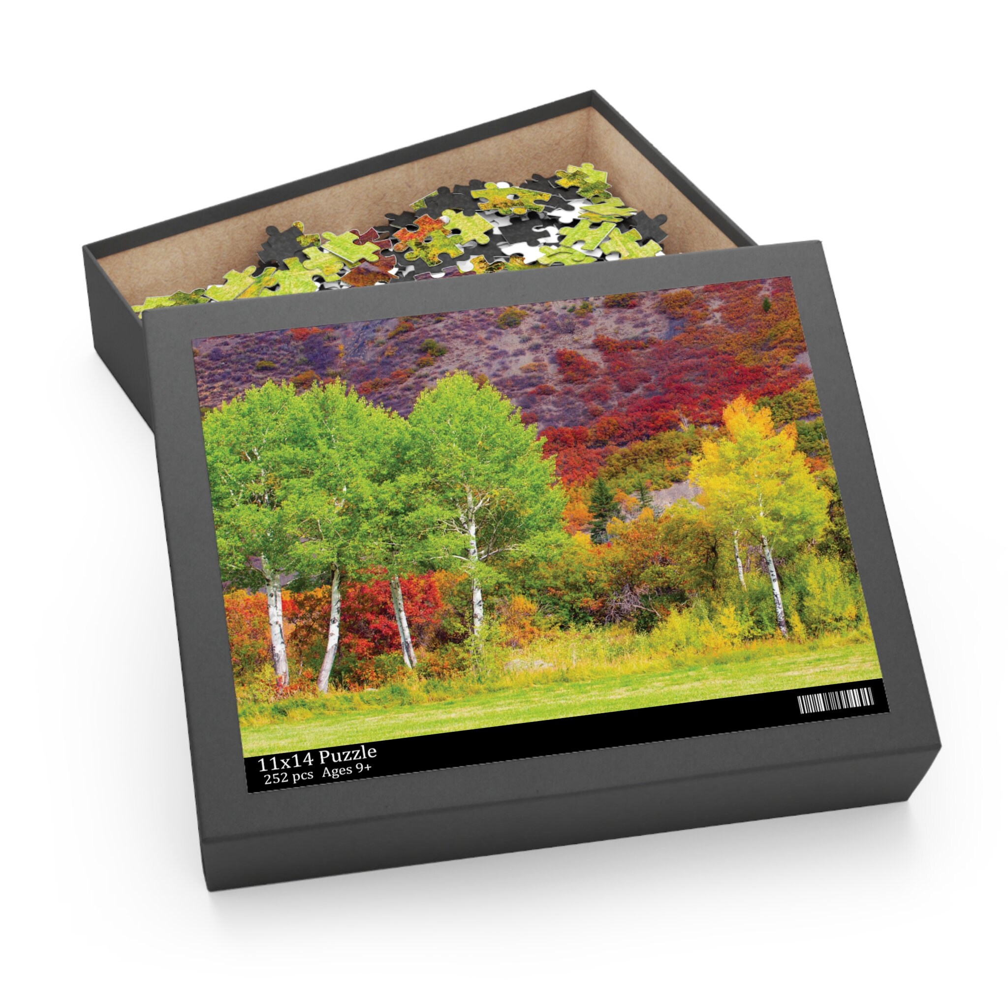 Casse-tête trembles, casse-tête photo, casse-têtes pour enfants, boîte ...