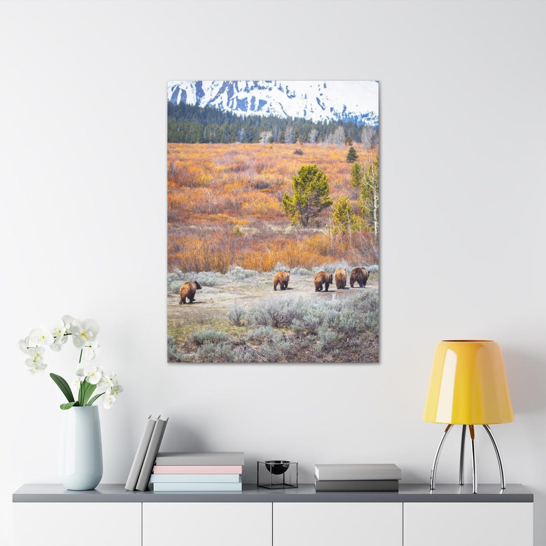 Grizzly Print | 399 Grizzly | 399 Bear | Grizzly Photo | Nature Photography Print | Animal ...