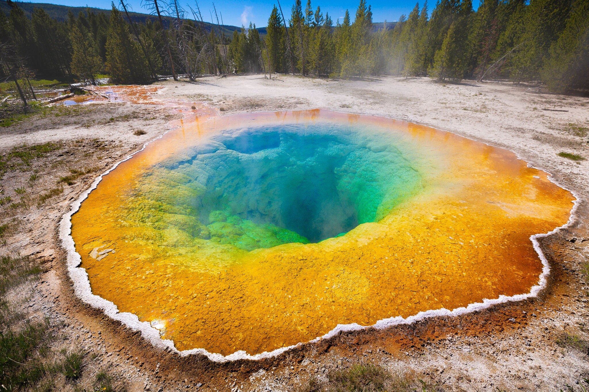 Yellowstone Canvas | Yellowstone Photo | Morning Glory Pool ...