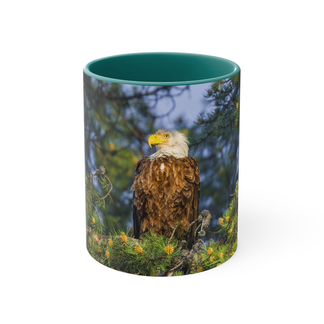 Bald Eagle Mug, Bald Eagle Photo, Ceramic Mug, Grand Teton Art ...
