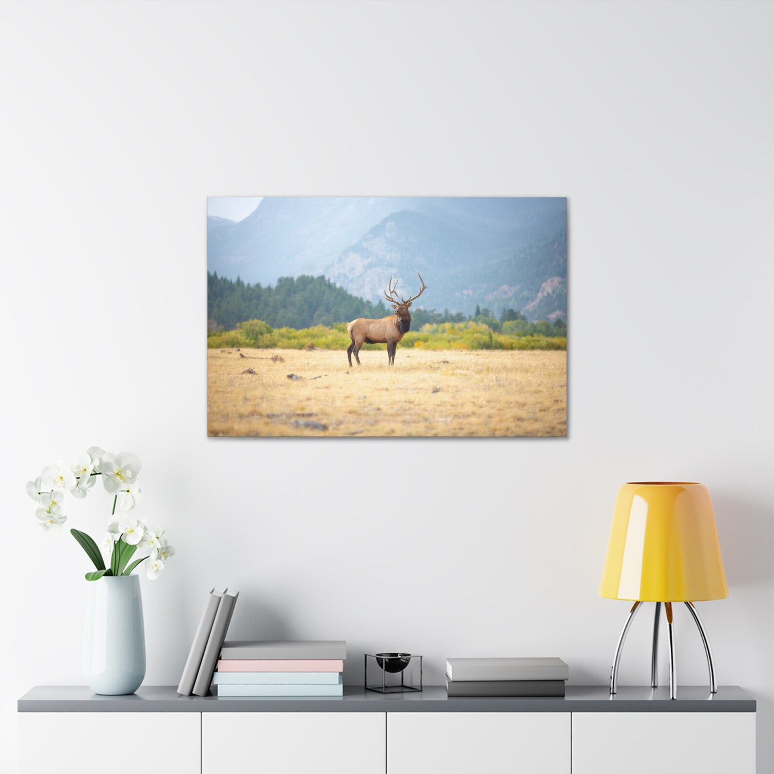 Elk Print | Rocky Mountain National Park | National Parks Print ...