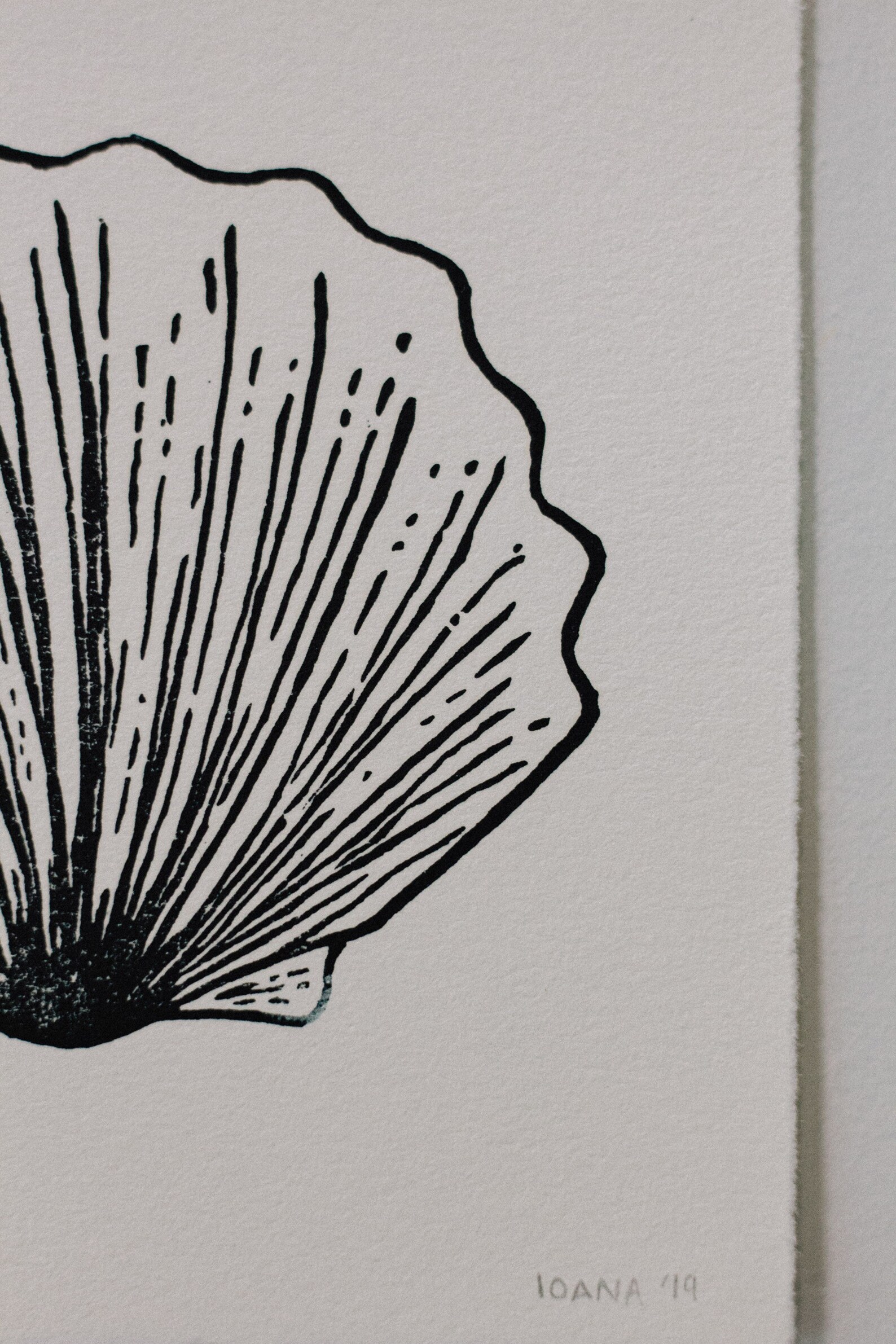 Seashell Tropical Linocut Mini Print Hand Carved Rives - Etsy