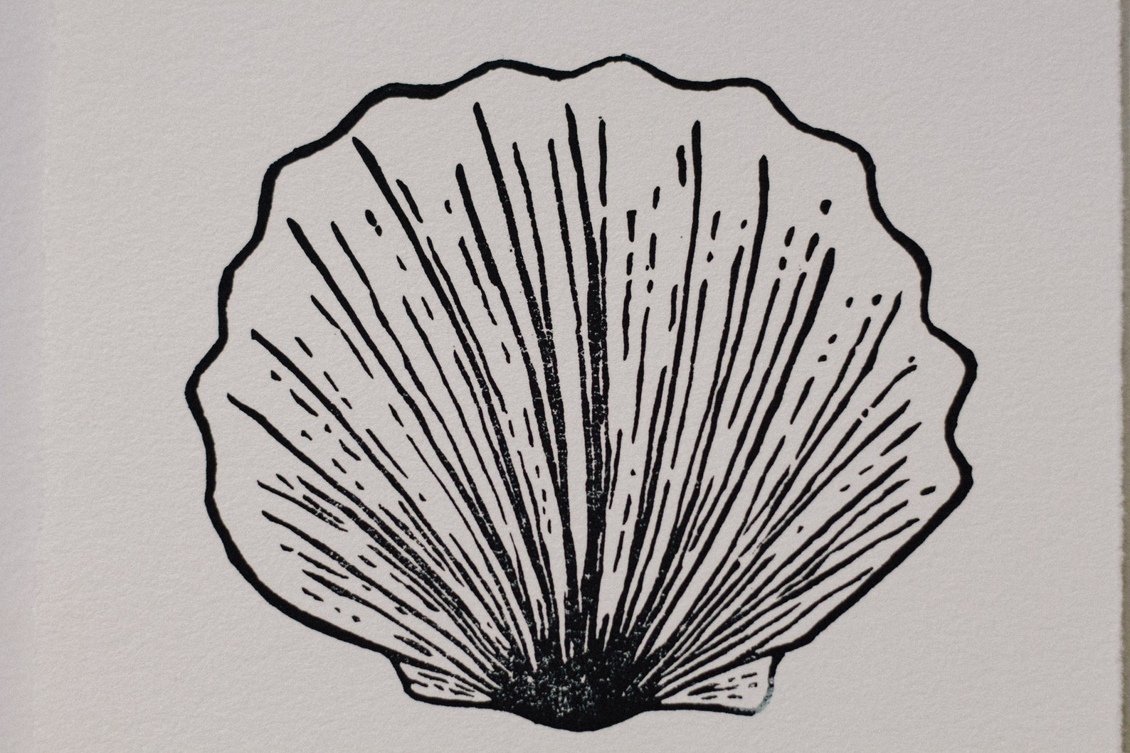 Seashell Tropical Linocut Mini Print Hand Carved Rives - Etsy