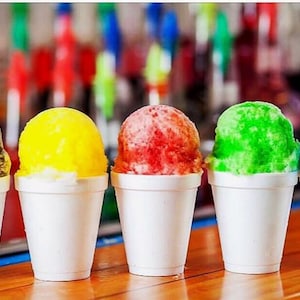 The Snow Dome Snow Cone Snowball Packer! - Etsy