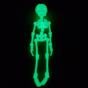 Extra Large Glow in the Dark Articulated Skeleton With Magnetic Head ...