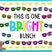 Bright Year Sunglasses Theme Bulletin Board and Door Kit Back - Etsy