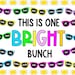 Bright Year Sunglasses Theme Bulletin Board and Door Kit- Back to ...