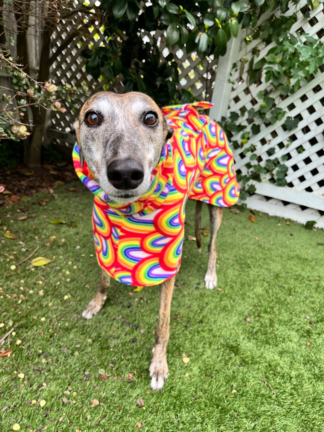 Greyhound Reversible Double Layer Fleece Coat, Rainbows, Size Small ...