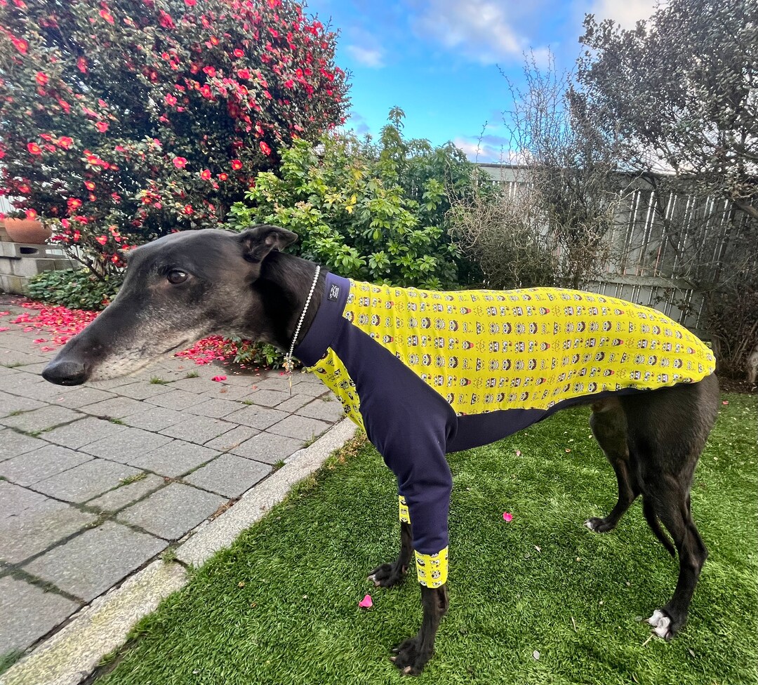 Greyhound Long Sleeve T-shirt, Sponge Bob, Size Small, Medium and Large ...