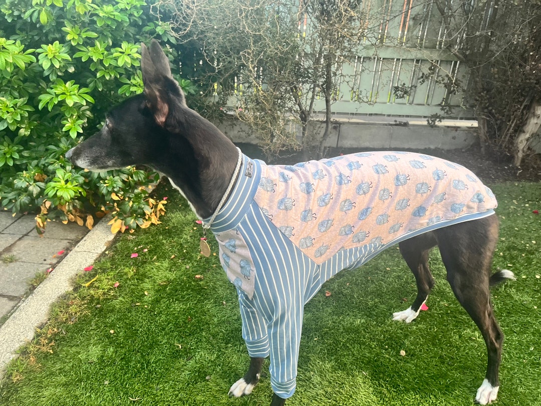 Greyhound Long Sleeve T-shirt, Little Monsters, Size Small and Medium ...