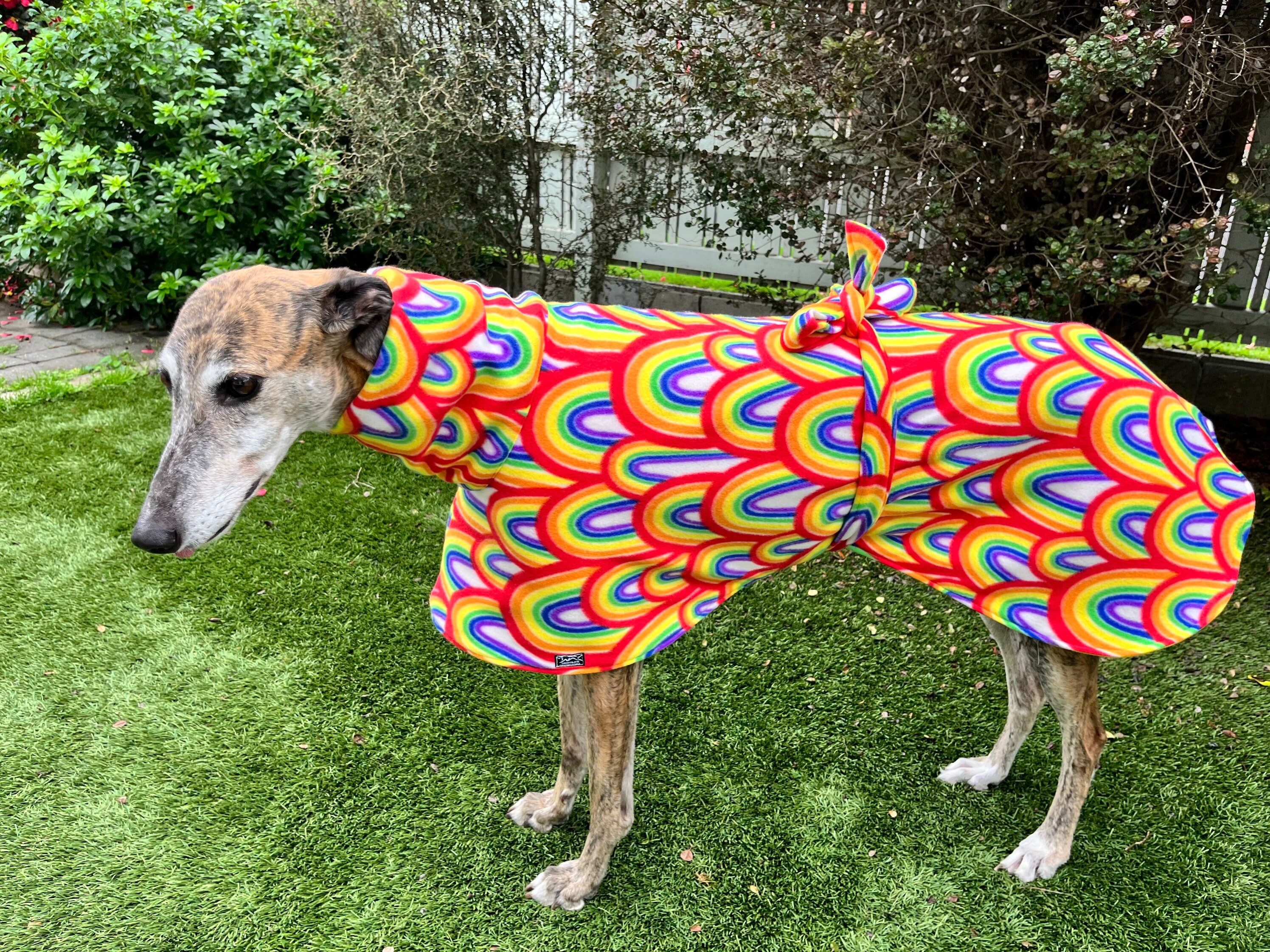 Greyhound Reversible Double Layer Fleece Coat Rainbows Size - Etsy New ...
