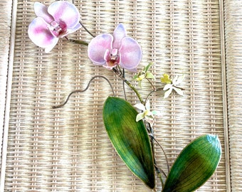 Bovano of Cheshire - Etsy