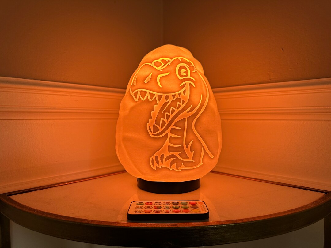 Custom Dinosaur Egg Lamp /night Light - Etsy