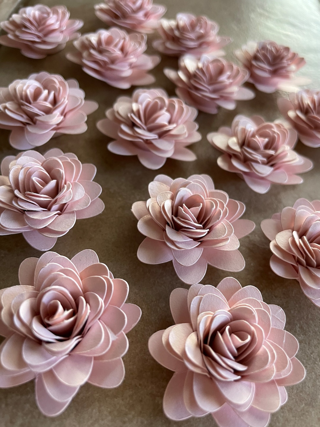 15pk Blush Starburst Rolled Paper Flowers 1” Inch - Etsy